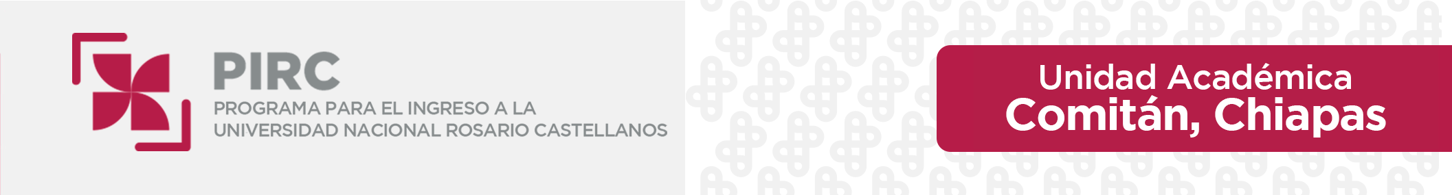 PIRC-Comitán Chiapas